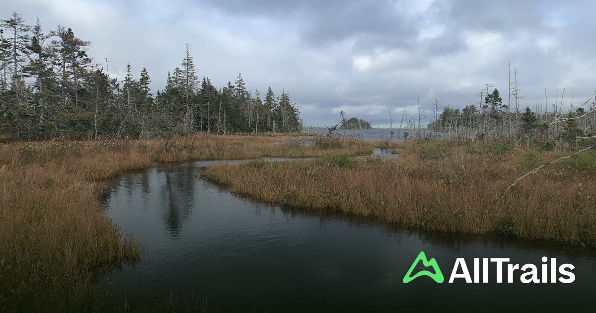 Harris Lake - hikes and trails to get you there | AllTrails