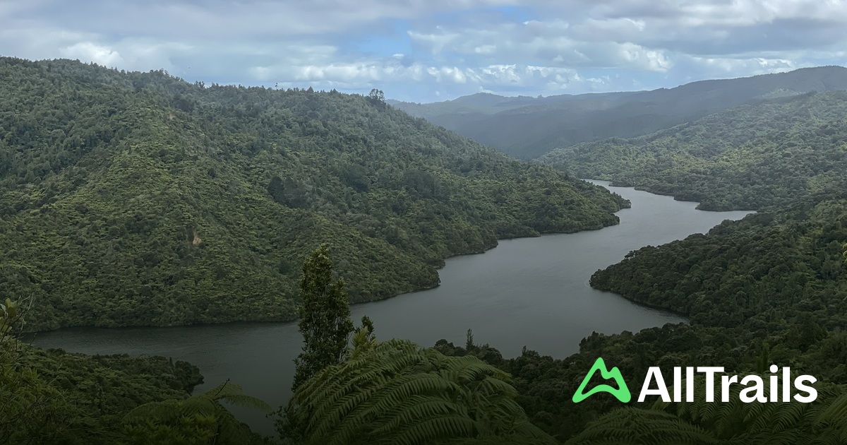 Repeater Campground - hikes and trails to get you there | AllTrails