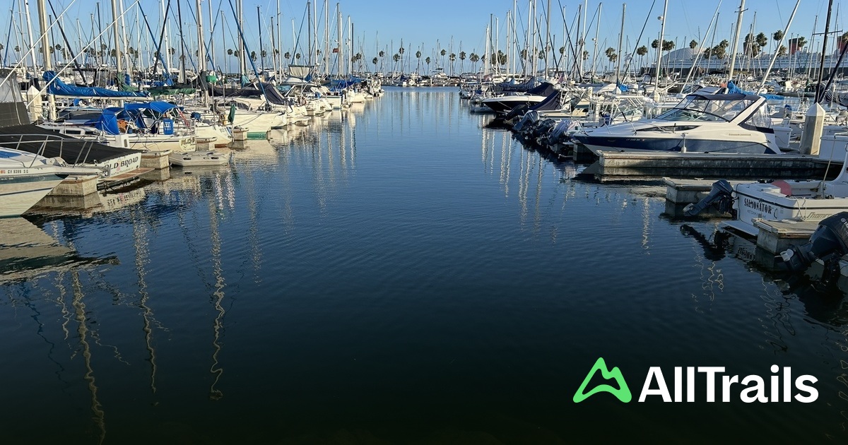 Long Beach City Beach - hikes and trails to get you there | AllTrails