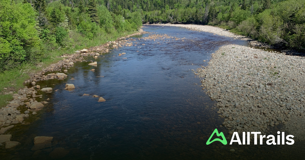 Big Rushy Pond - hikes and trails to get you there | AllTrails