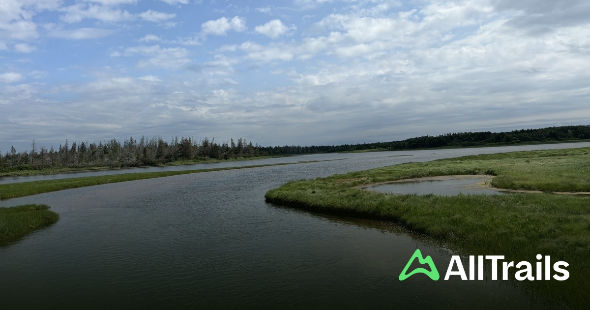 Cavendish Campground - hikes and trails to get you there | AllTrails