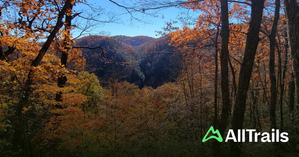 View on Raven Cliff Falls - hikes and trails to get you there | AllTrails