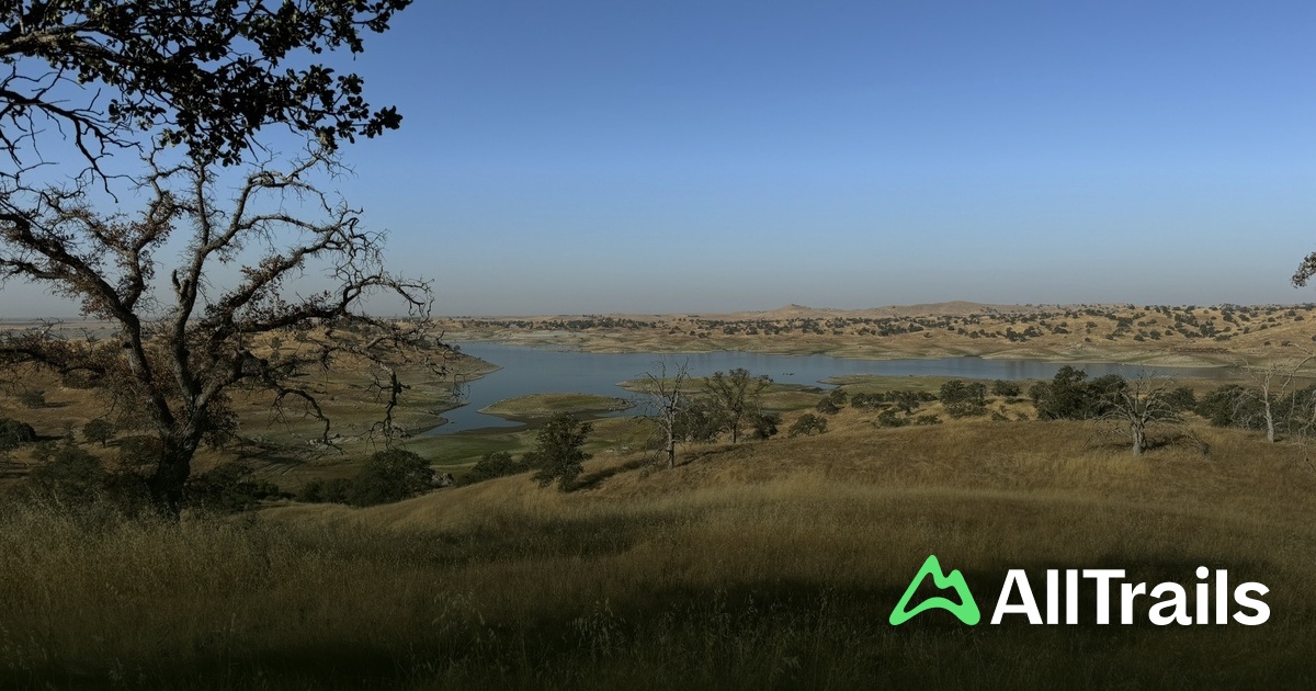 Hensley Lake - hikes and trails to get you there | AllTrails