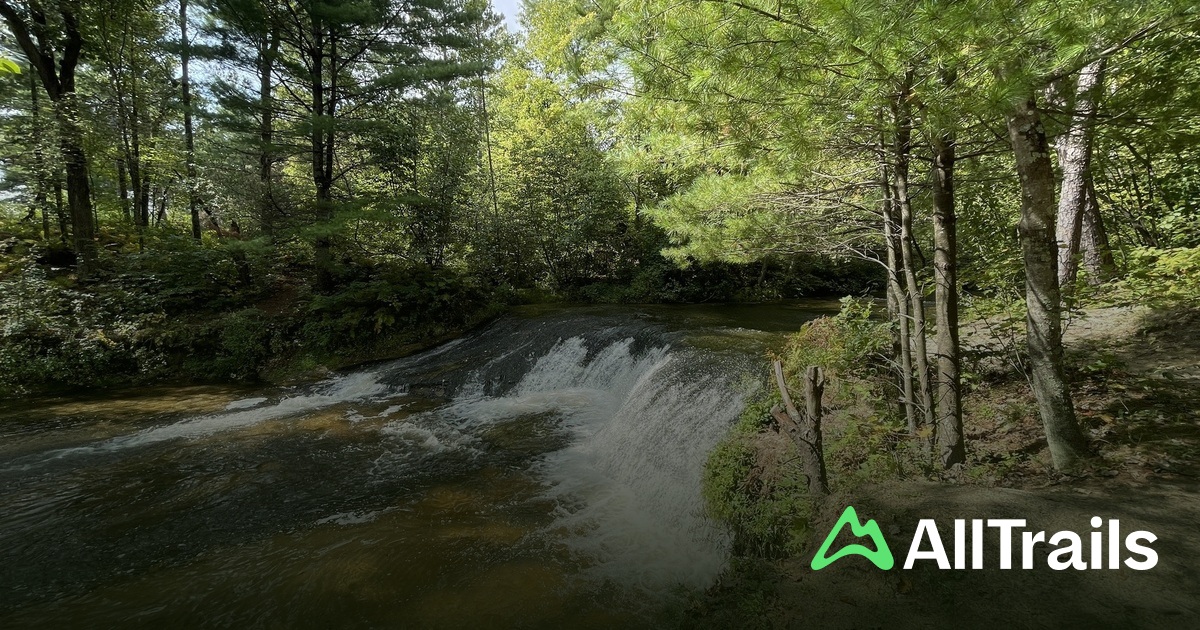 Pine View Campground - hikes and trails to get you there | AllTrails