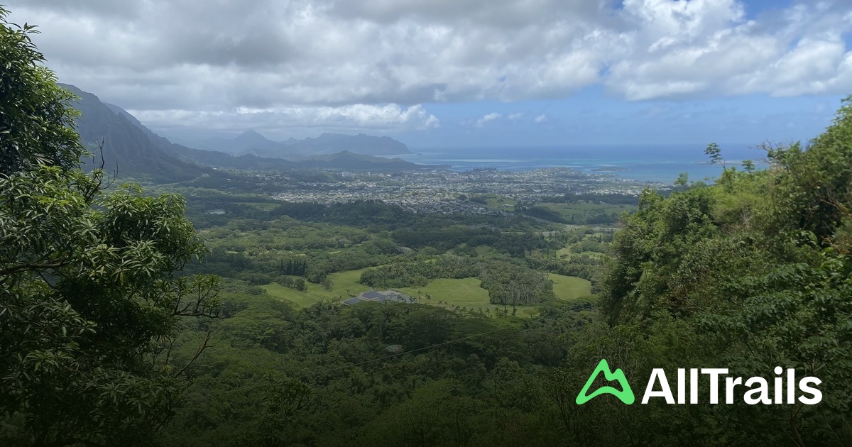 Pali Lookout - hikes and trails to get you there | AllTrails