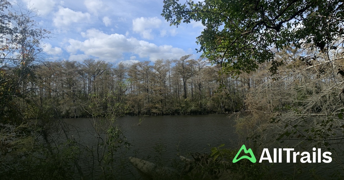 Best trails near West Fork Calcasieu River | AllTrails