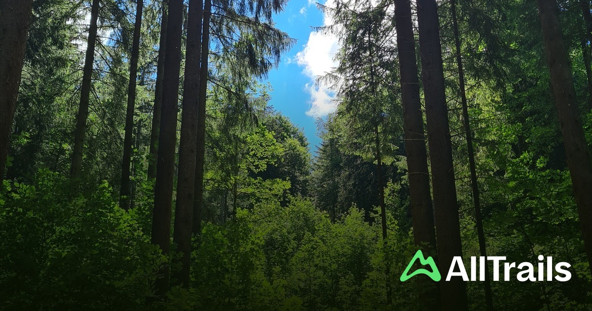 Alpspitz Kick - hikes and trails to get you there | AllTrails