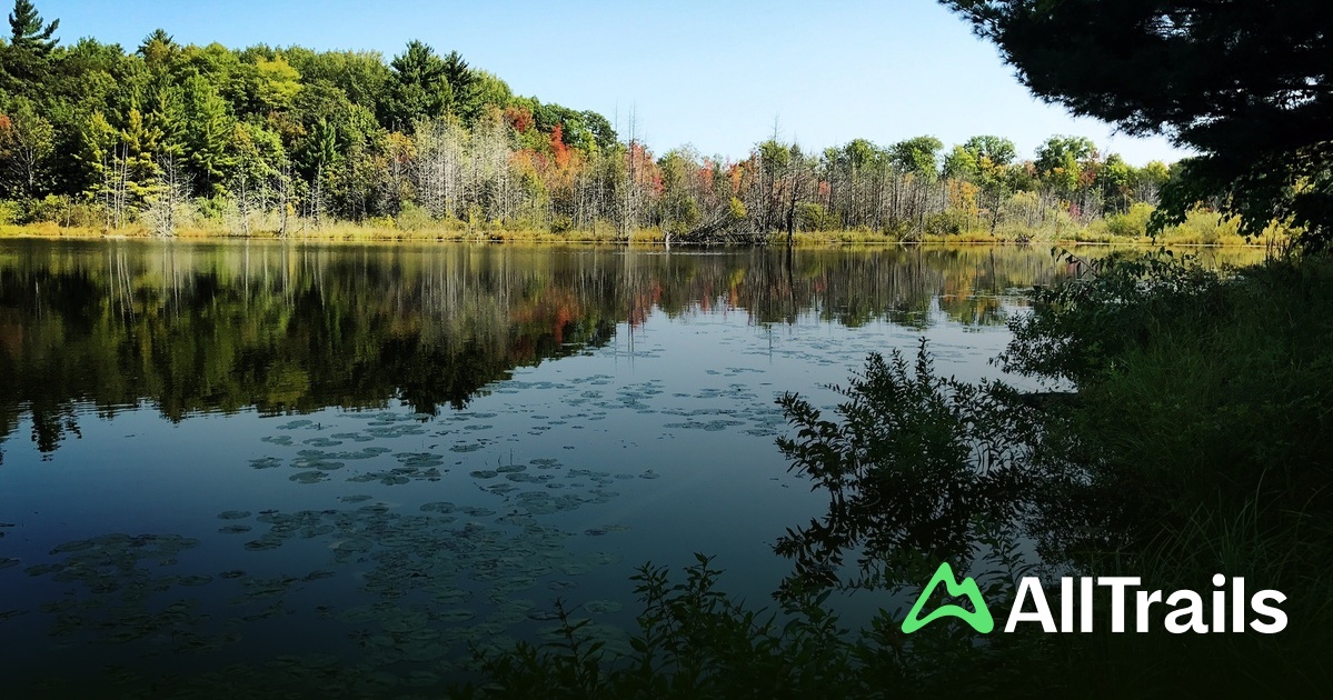 Lake Ann State Forest Campground - hikes and trails to get you there ...