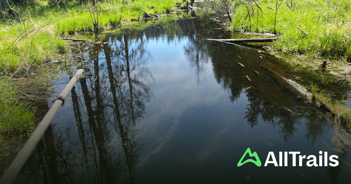 Deep Lake - hikes and trails to get you there | AllTrails