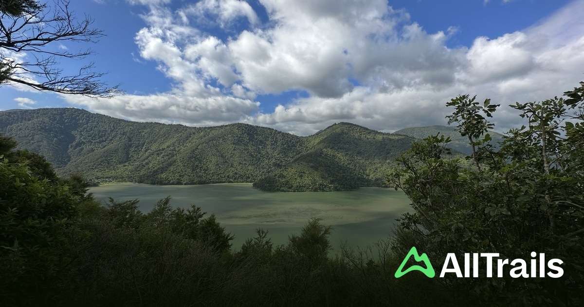 Mahaki Paoa Lookout - hikes and trails to get you there | AllTrails