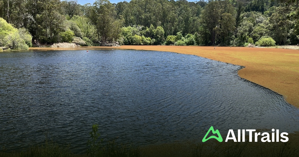 Lake Anza Beach - hikes and trails to get you there | AllTrails