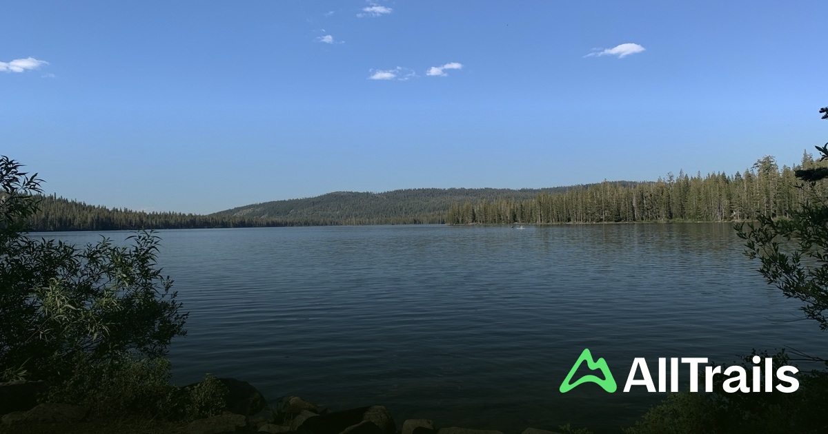 Gold Lake 4x4 Campground - hikes and trails to get you there | AllTrails