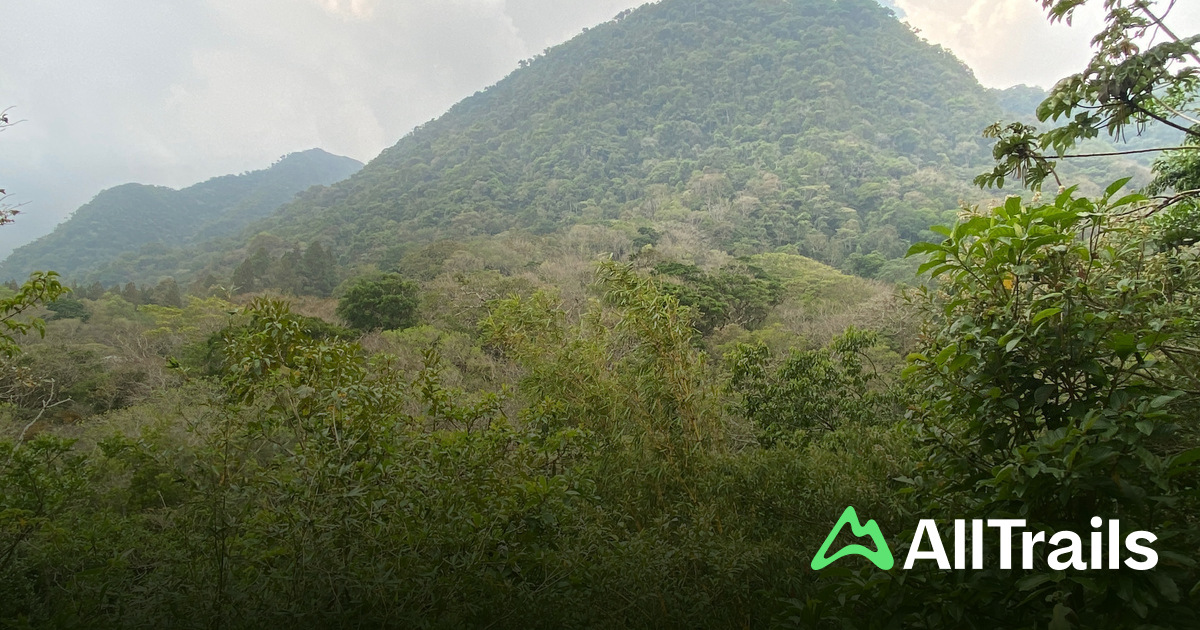 Square Trees;arboles cuadrados - hikes and trails to get you there ...