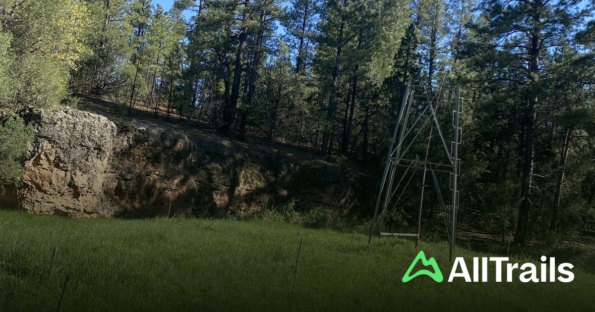 Best trails near Prewitt Lake | AllTrails