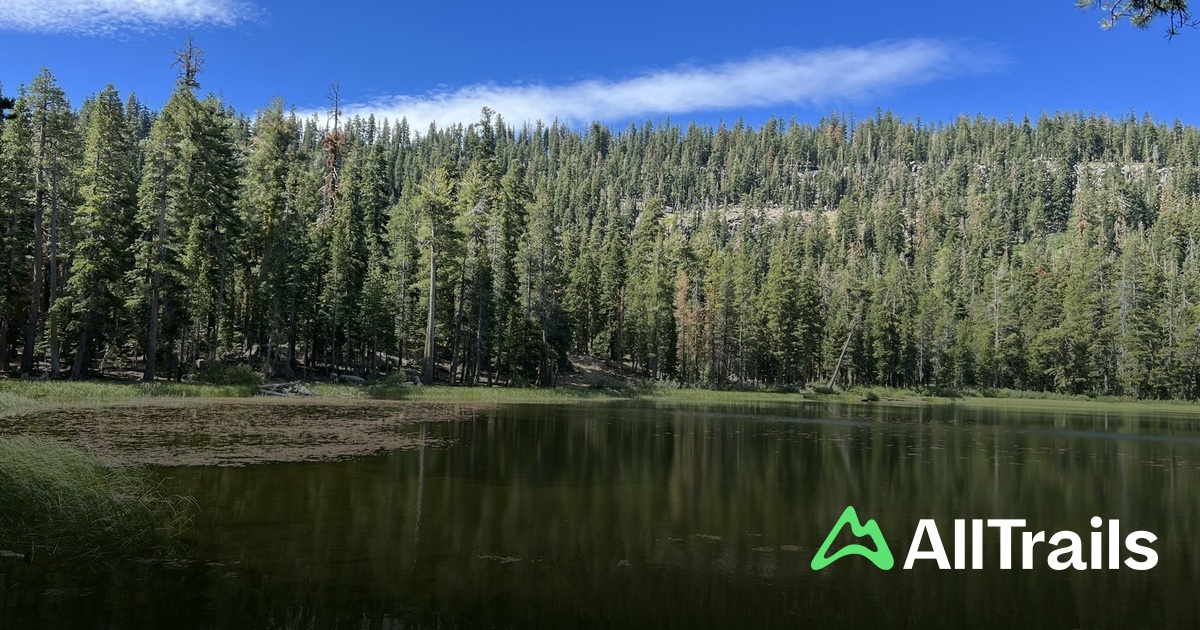 Watson Lake Campground - hikes and trails to get you there | AllTrails
