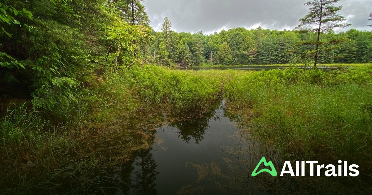 Best trails near Maple Leaf 10 | AllTrails