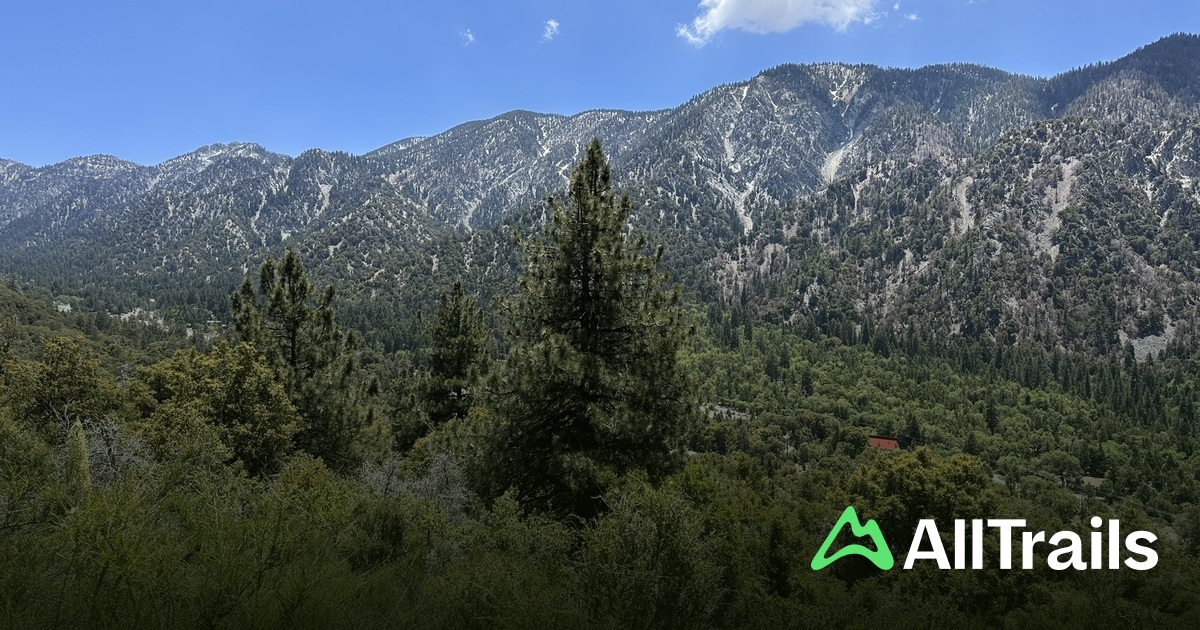 Dobbs Cabin Camp - hikes and trails to get you there | AllTrails
