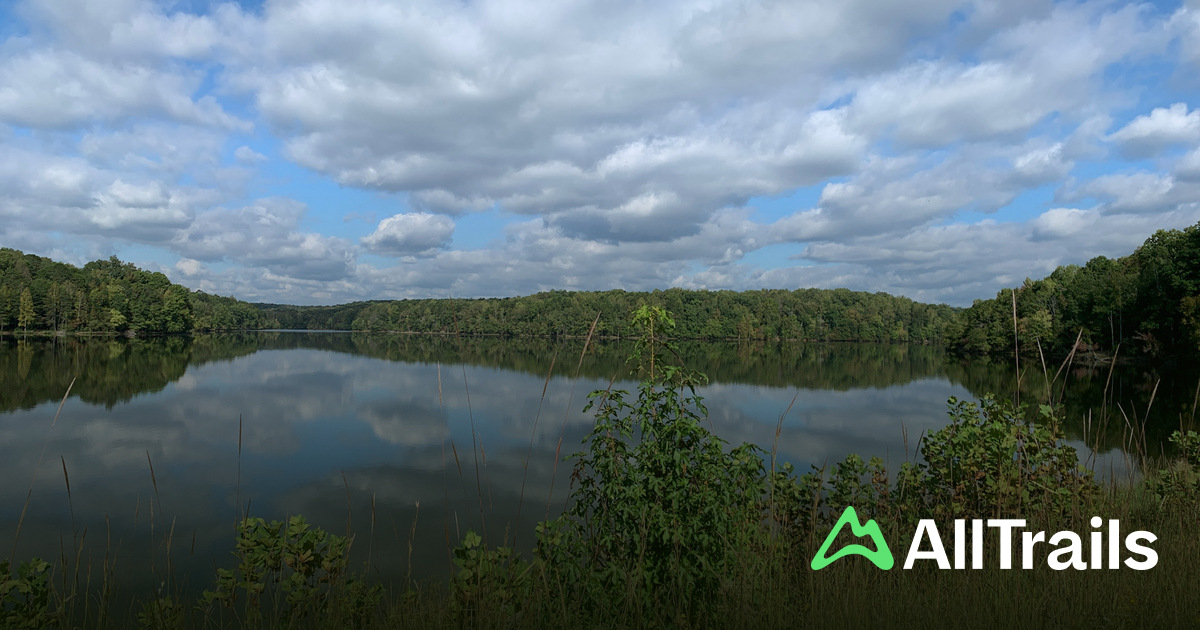 I migliori sentieri vicino a Lake Johnson | AllTrails