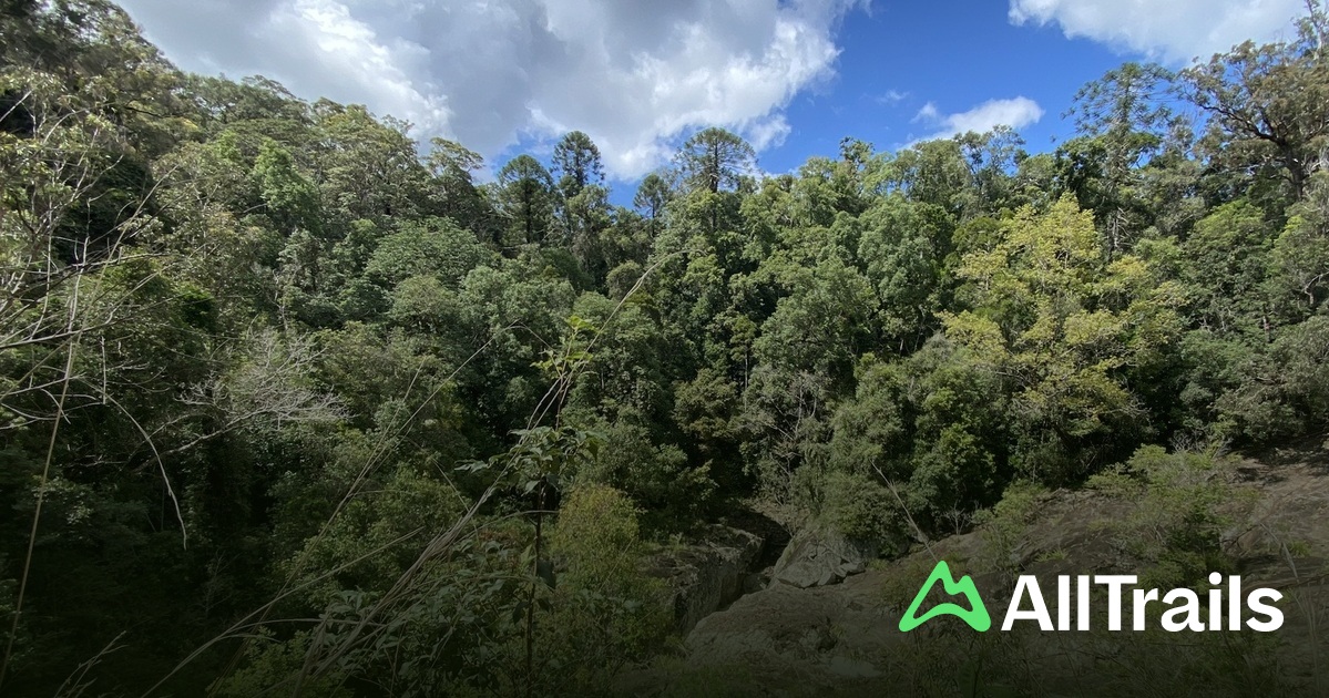 Mapleton Day Use Area - hikes and trails to get you there | AllTrails