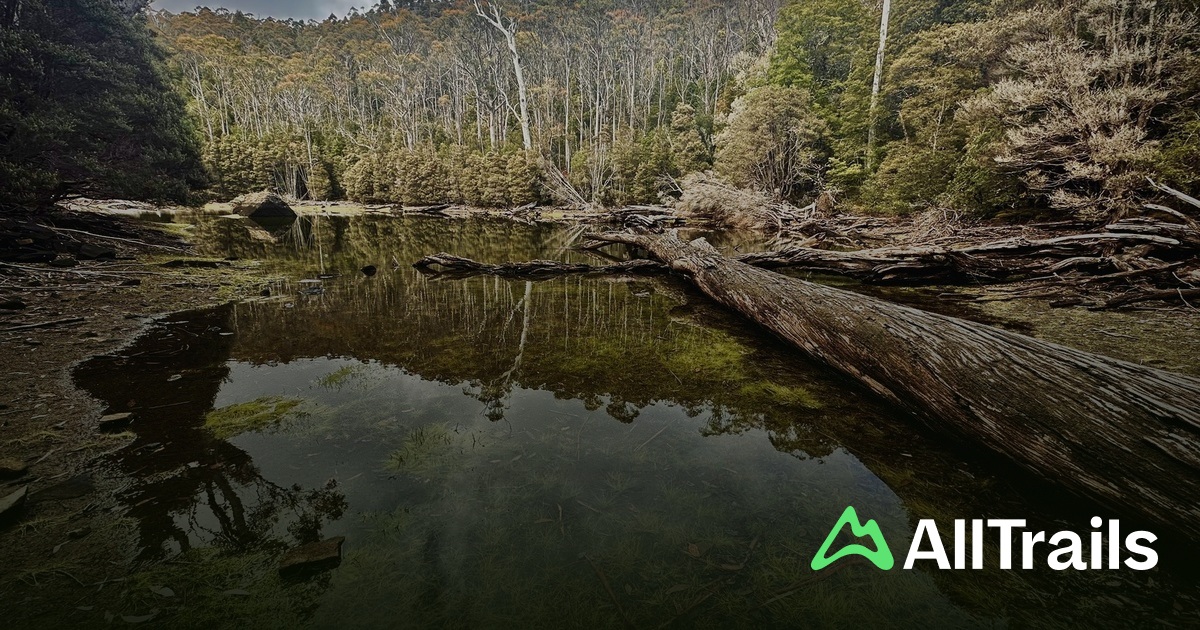 Junction Lake Hut - hikes and trails to get you there | AllTrails