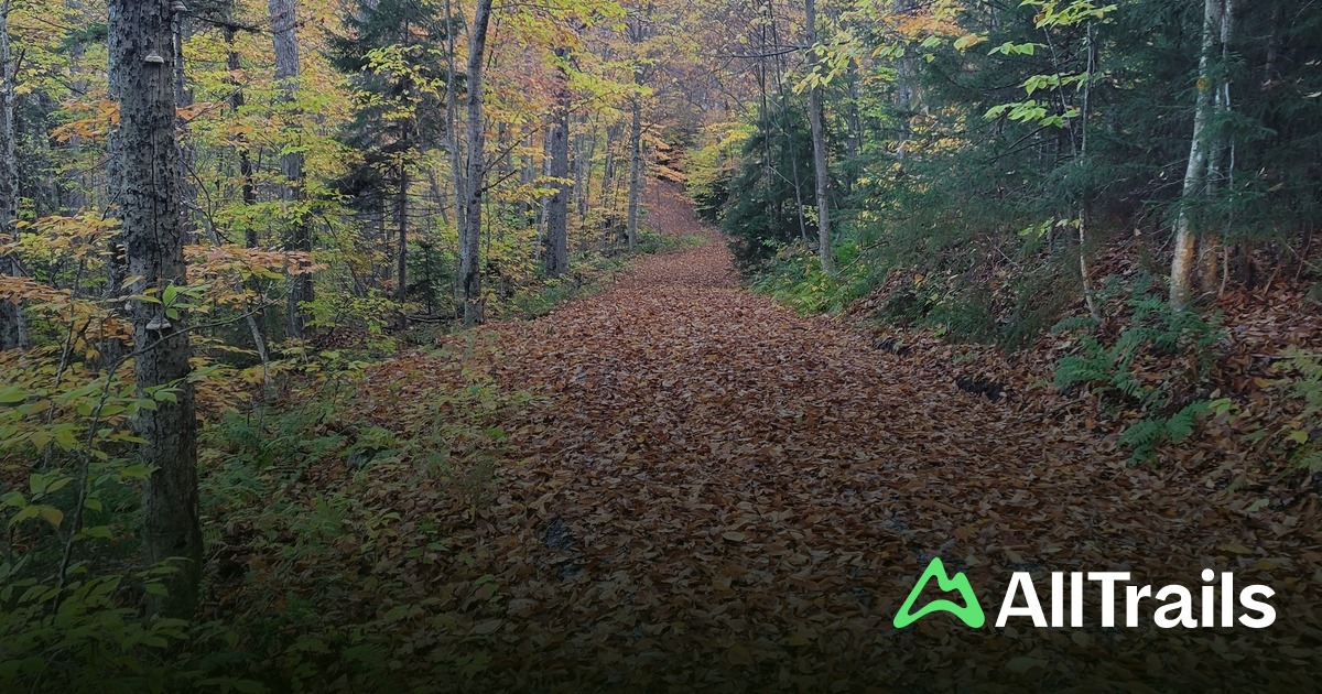 Twitchell Lake - hikes and trails to get you there | AllTrails