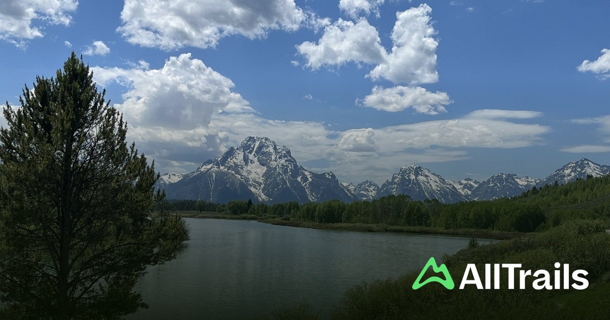 Bedste ruter i nærheden af Buffalo Fork | AllTrails