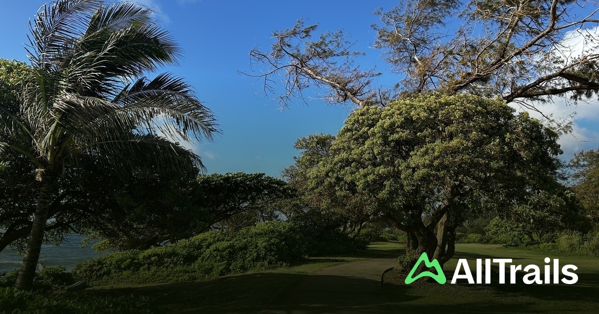 Lydgate Beach Park Camping - hikes and trails to get you there | AllTrails