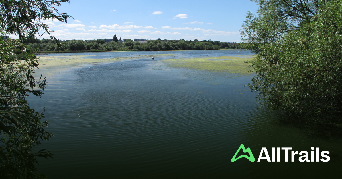 Barn Hill Pond - hikes and trails to get you there | AllTrails