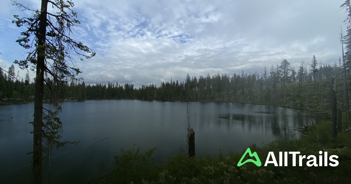 Dark Lake - hikes and trails to get you there | AllTrails