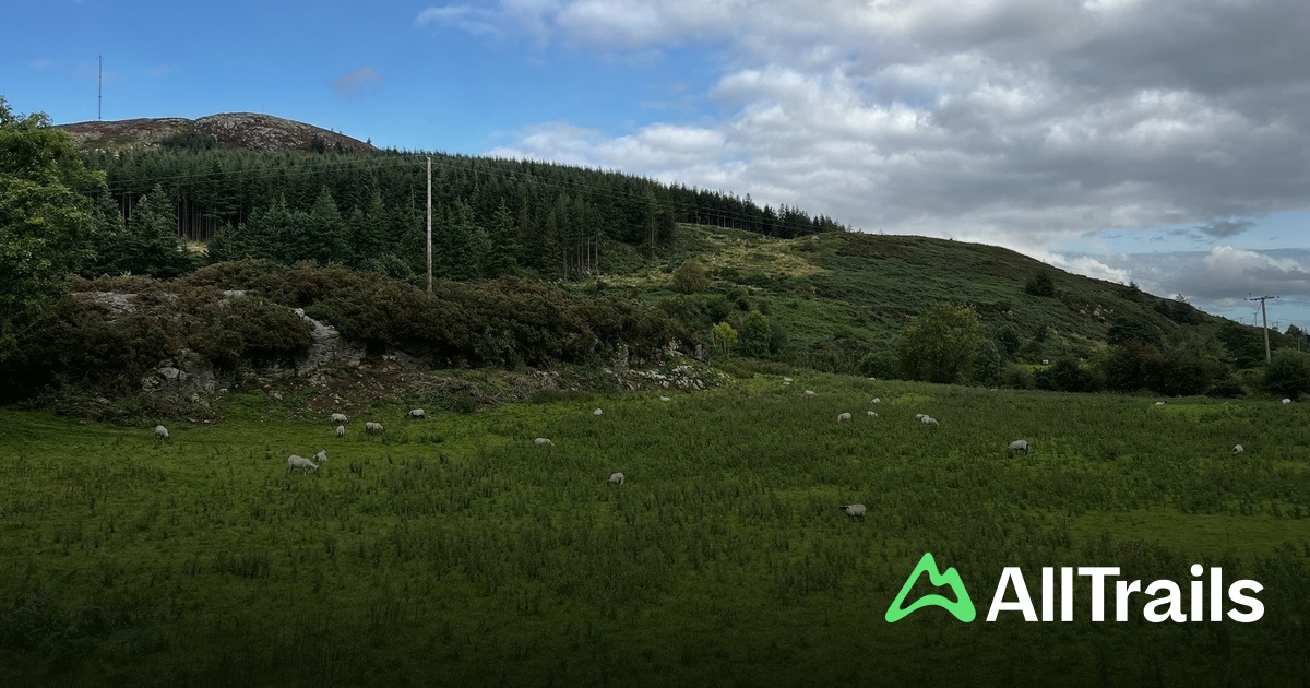Kilcurry River - hikes and trails to get you there | AllTrails