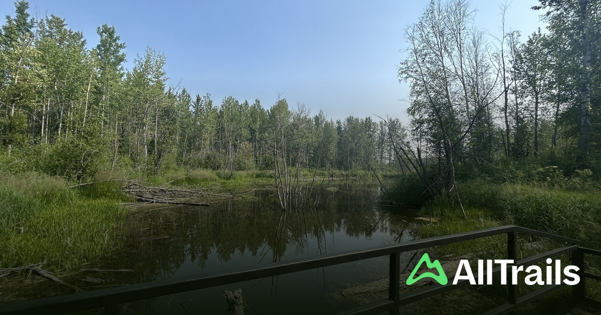 Pigeon Lake Provincial Park: Die besten Routen in der Umgebung | AllTrails