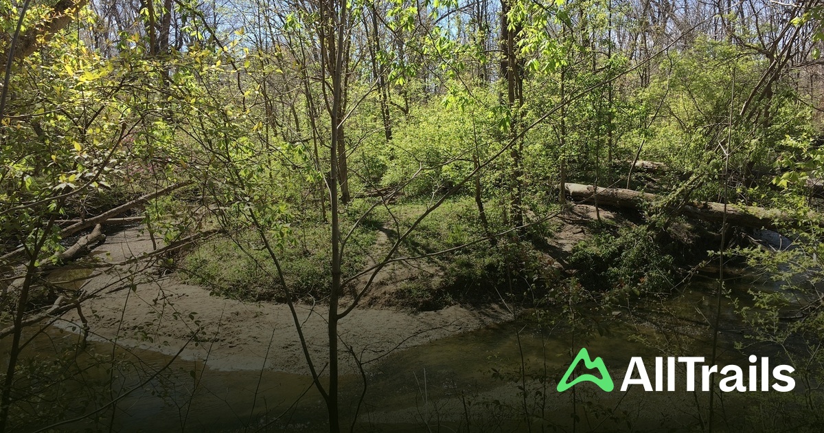 Frog Pond - hikes and trails to get you there | AllTrails
