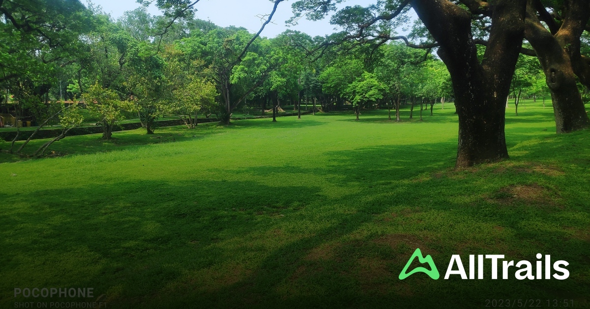 Best trails near Washington SyCip Garden of Native Trees | AllTrails