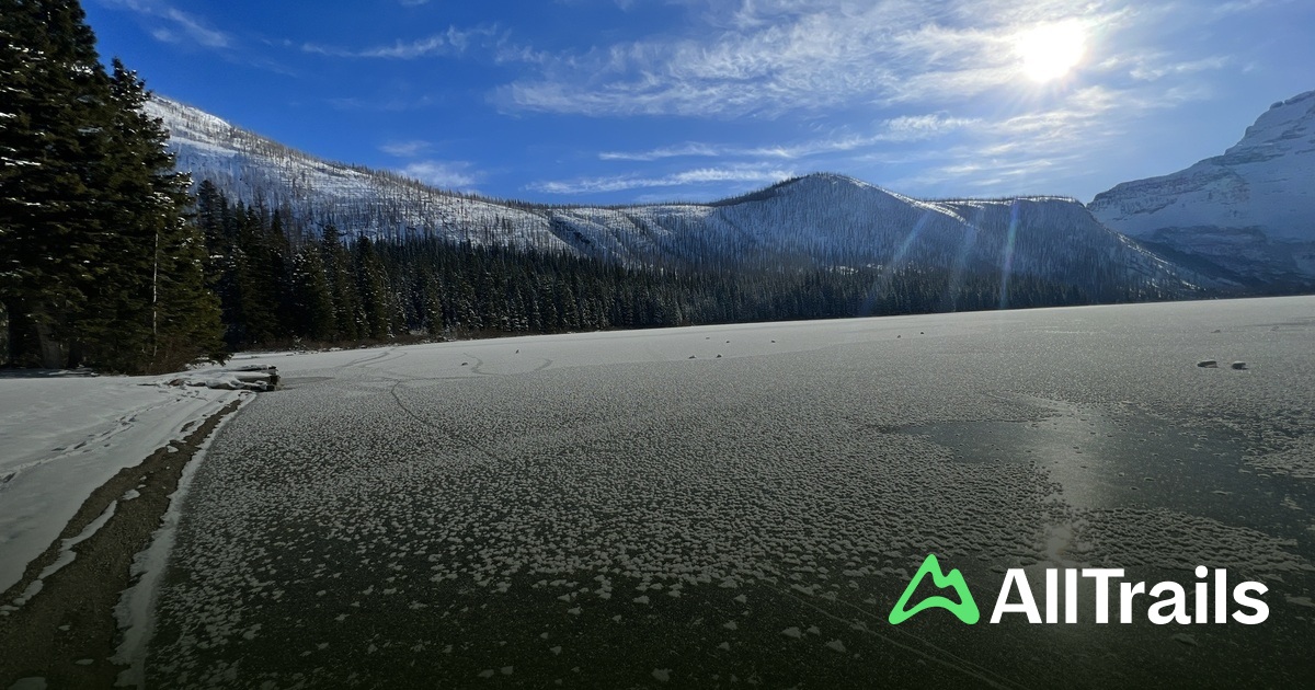 Cameron Lake - hikes and trails to get you there | AllTrails