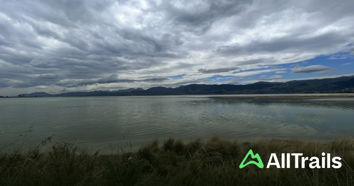 Wairoa River - hikes and trails to get you there | AllTrails