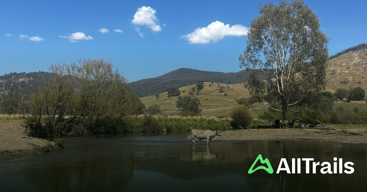 Pebble Beach - Murray River Reserve - hikes and trails to get you there ...