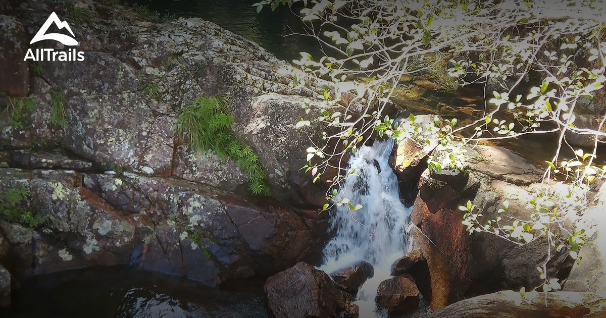 Gold Creek Falls - hikes and trails to get you there | AllTrails