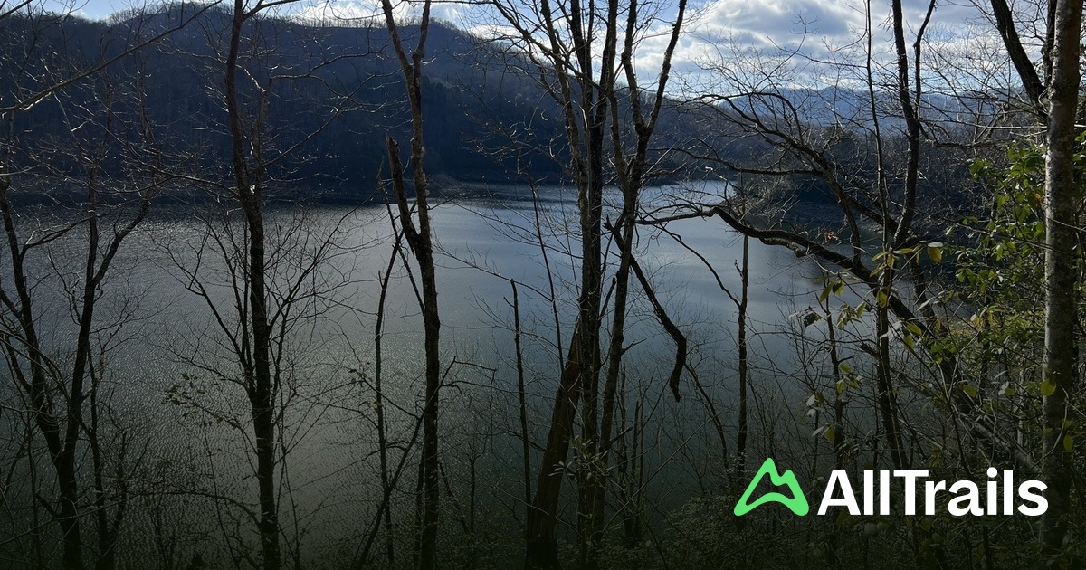 Lost Cove #90 - hikes and trails to get you there | AllTrails