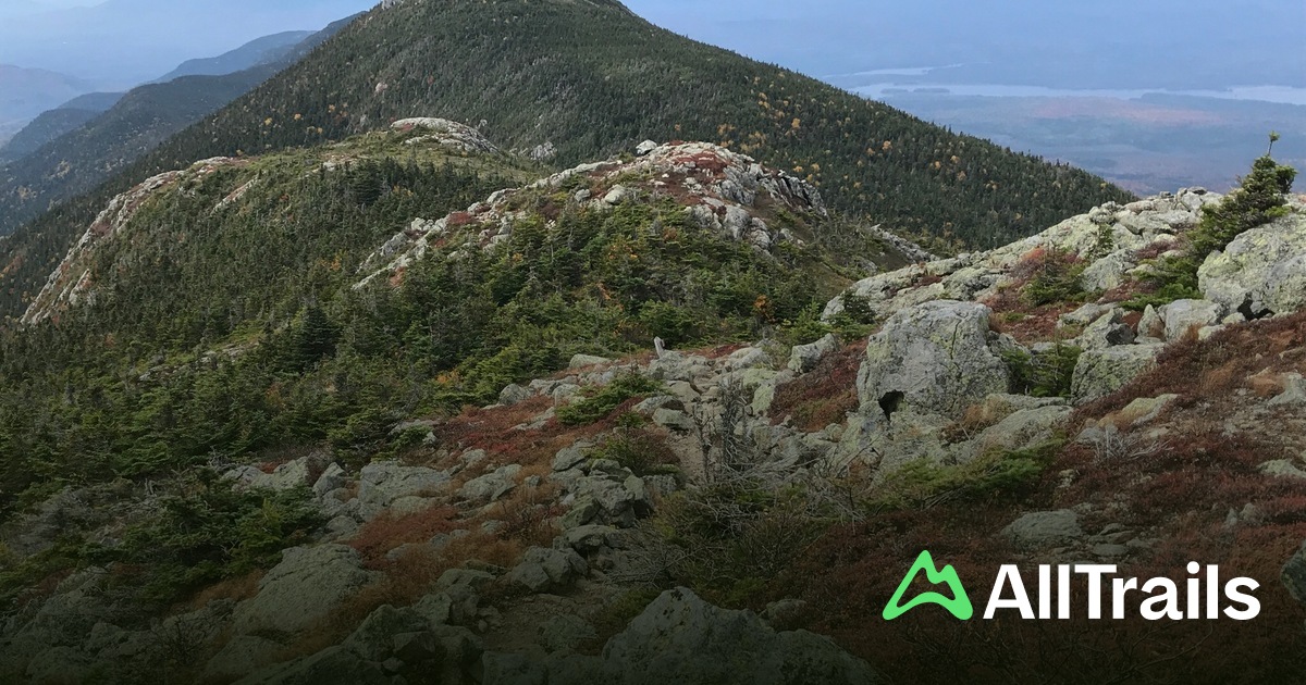 Bigelow Col Campsite - hikes and trails to get you there | AllTrails
