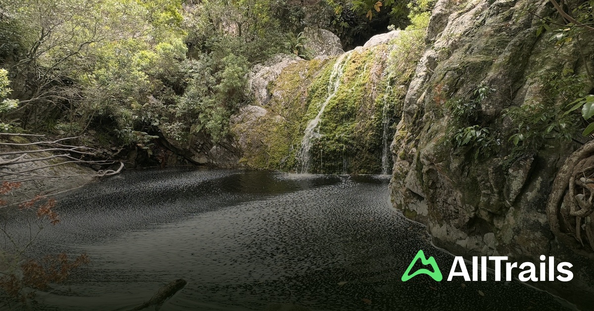 Harold Porter Botanical Garden - hikes and trails to get you there ...