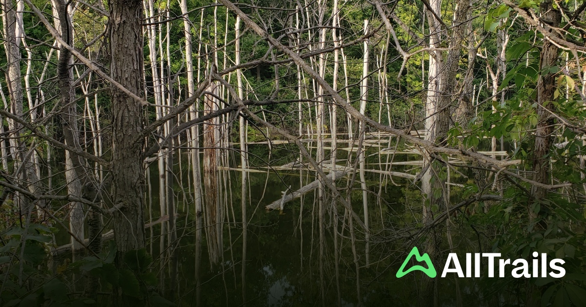 Stoney Creek - hikes and trails to get you there | AllTrails