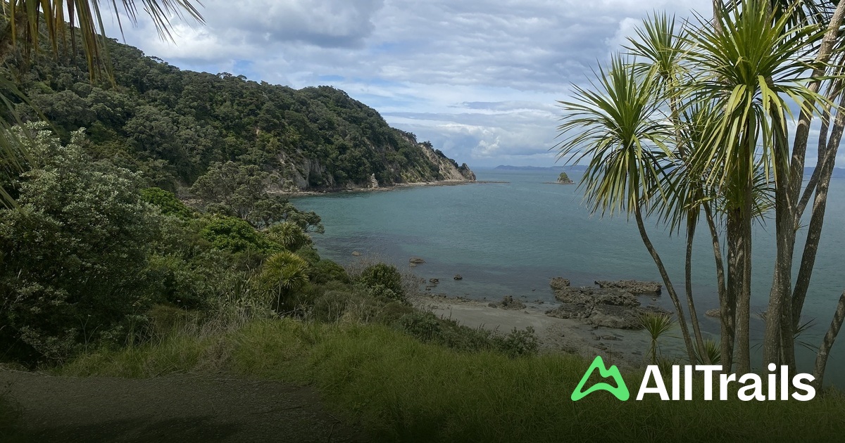 Smugglers Bay Beach - hikes and trails to get you there | AllTrails