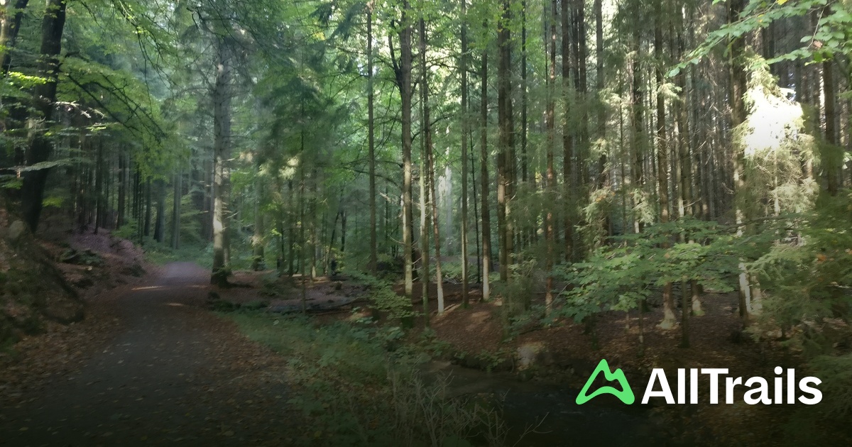 Vejle City Camping - hikes and trails to get you there | AllTrails