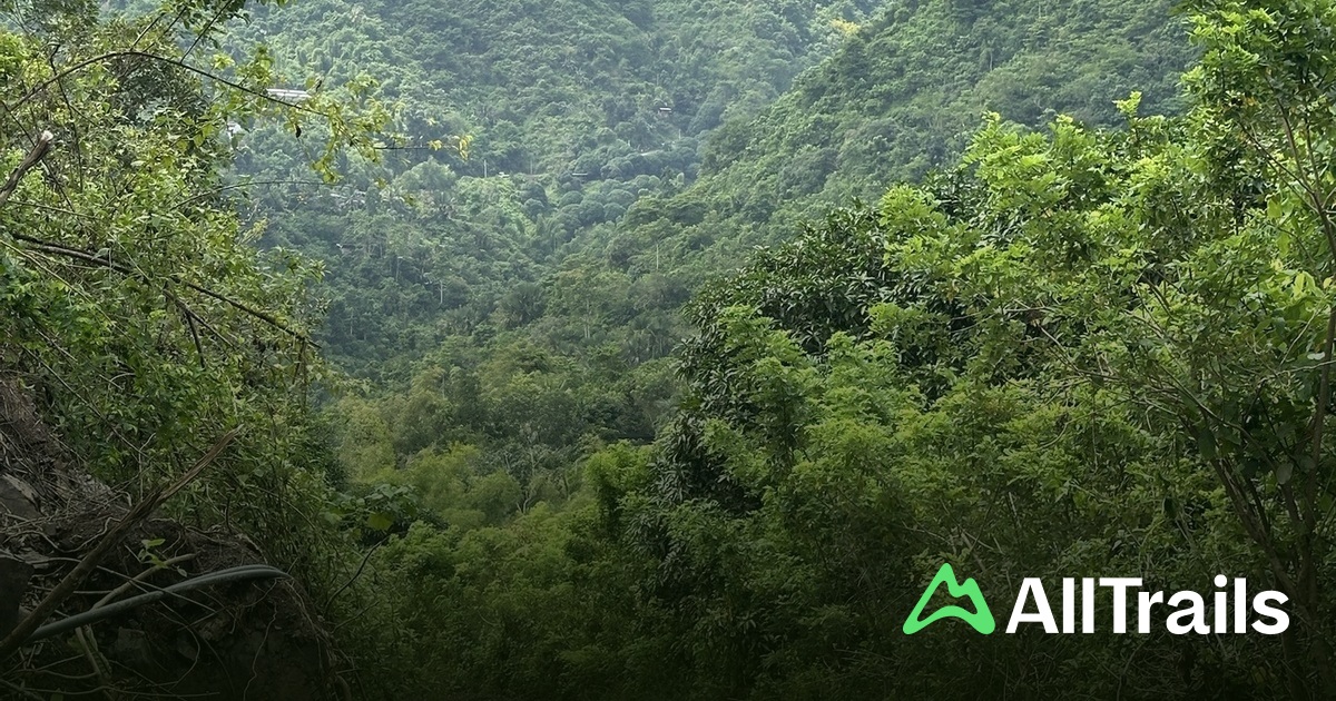 Butuanon River - hikes and trails to get you there | AllTrails