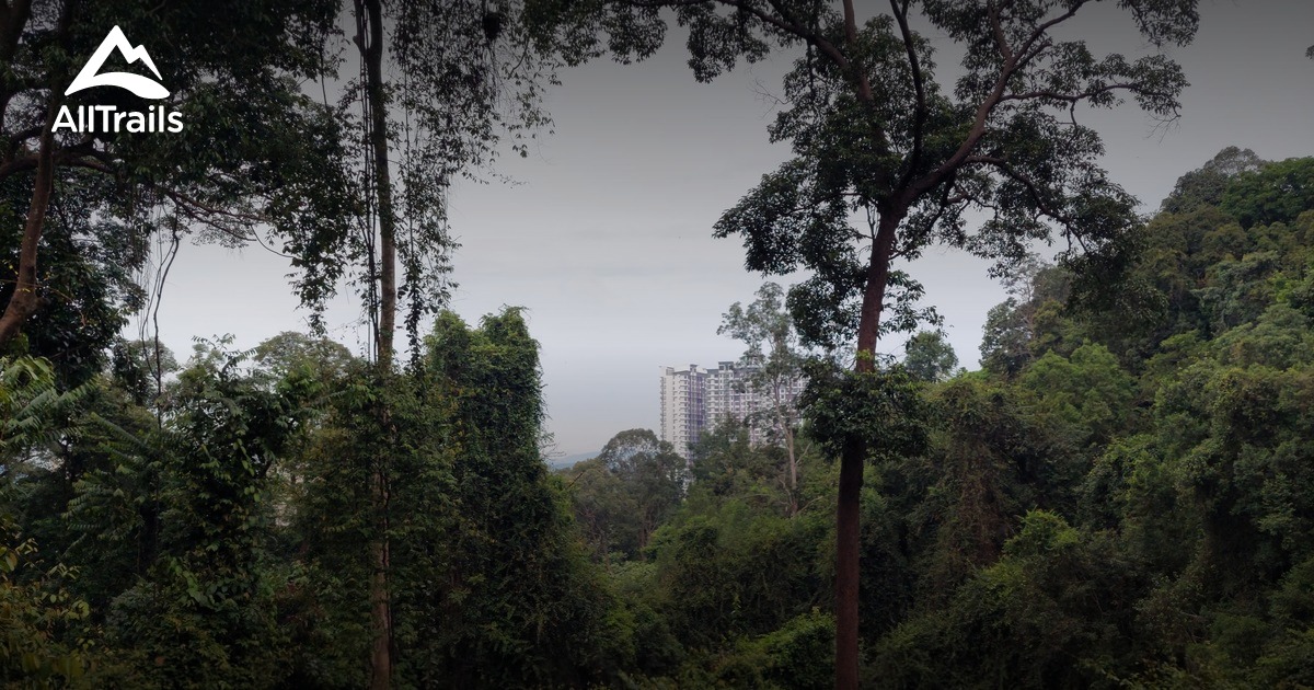 Bukit Beruang - hikes and trails to get you there | AllTrails