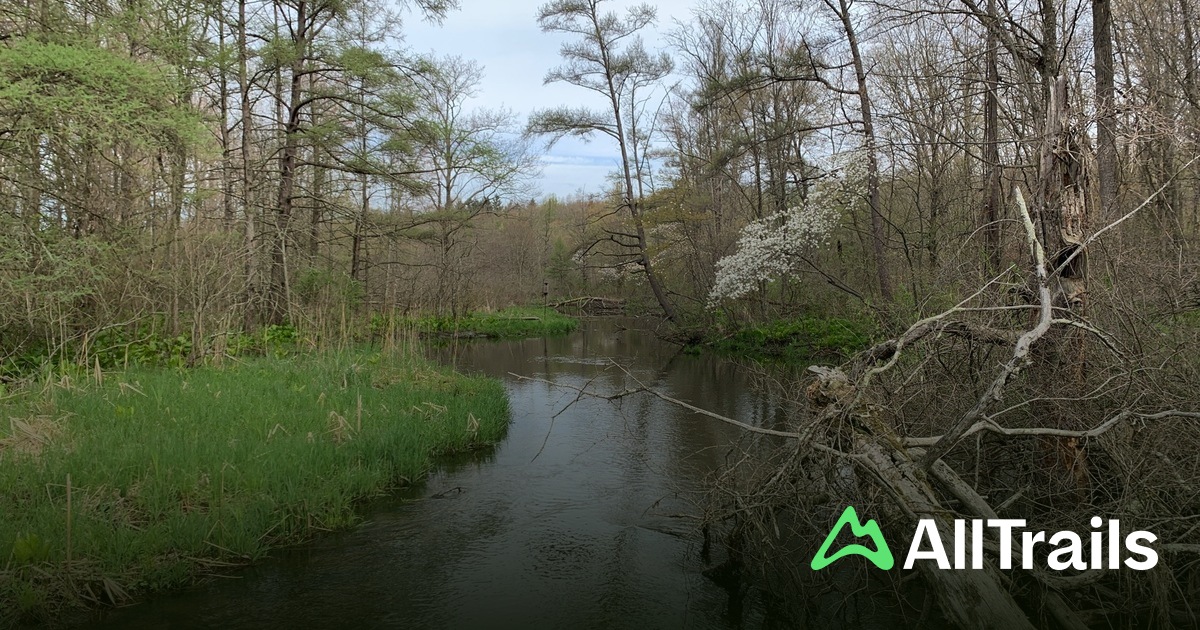 Hogback Lake - hikes and trails to get you there | AllTrails