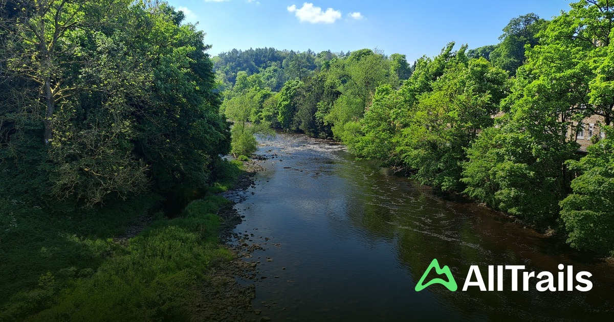 River Wiske - hikes and trails to get you there | AllTrails