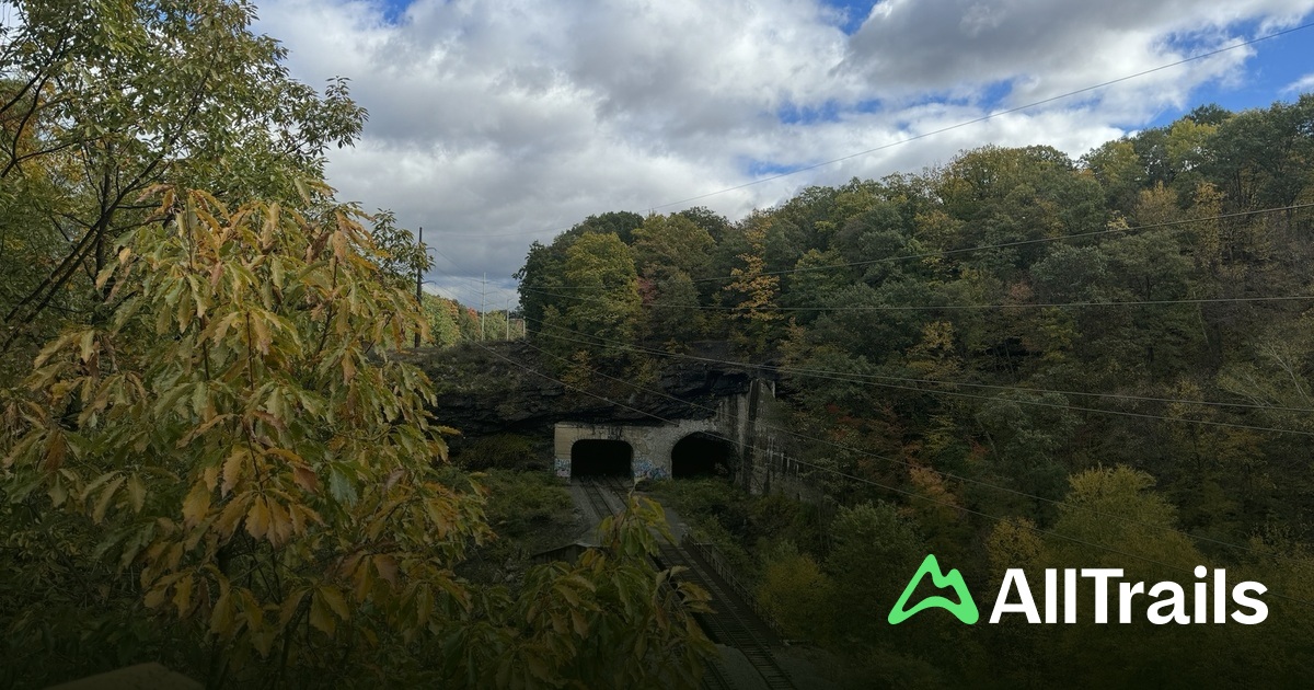 Bästa lederna nära Freedom Garden | AllTrails