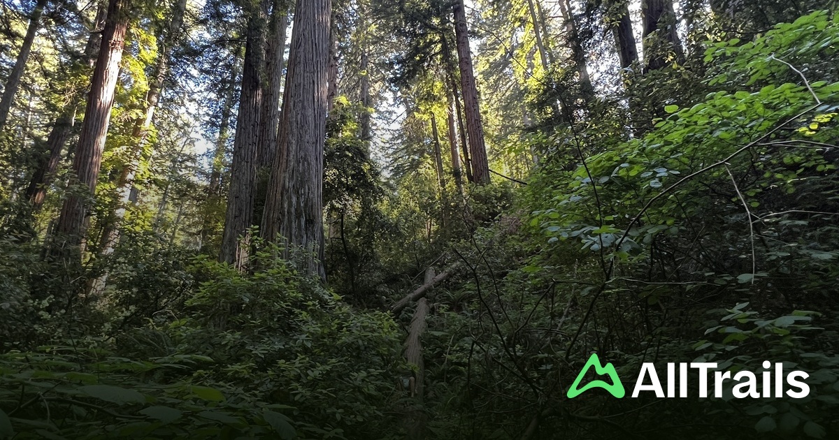 Redwood Grove Group Picnic Area - hikes and trails to get you there ...