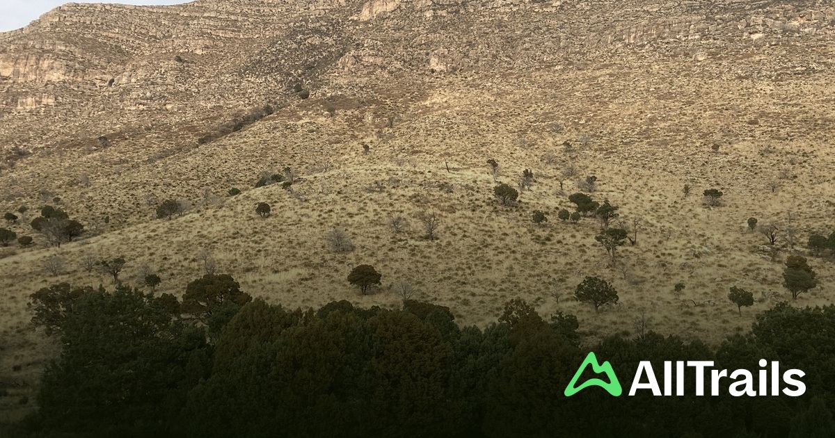 Melhores trilhos perto de Dog Canyon Campground | AllTrails